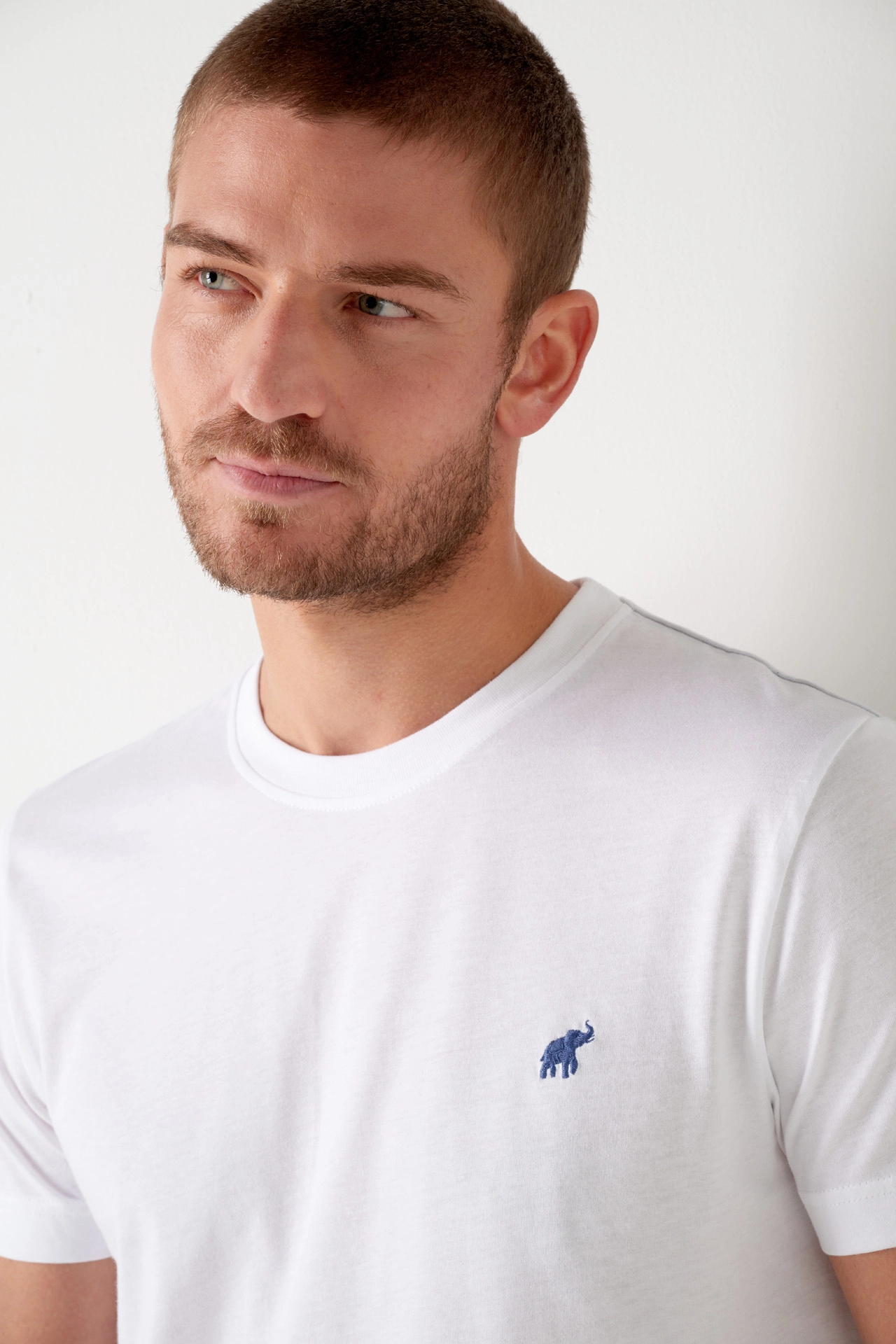 White New Basic T-shirt - Men's T-shirts | Peter Polo